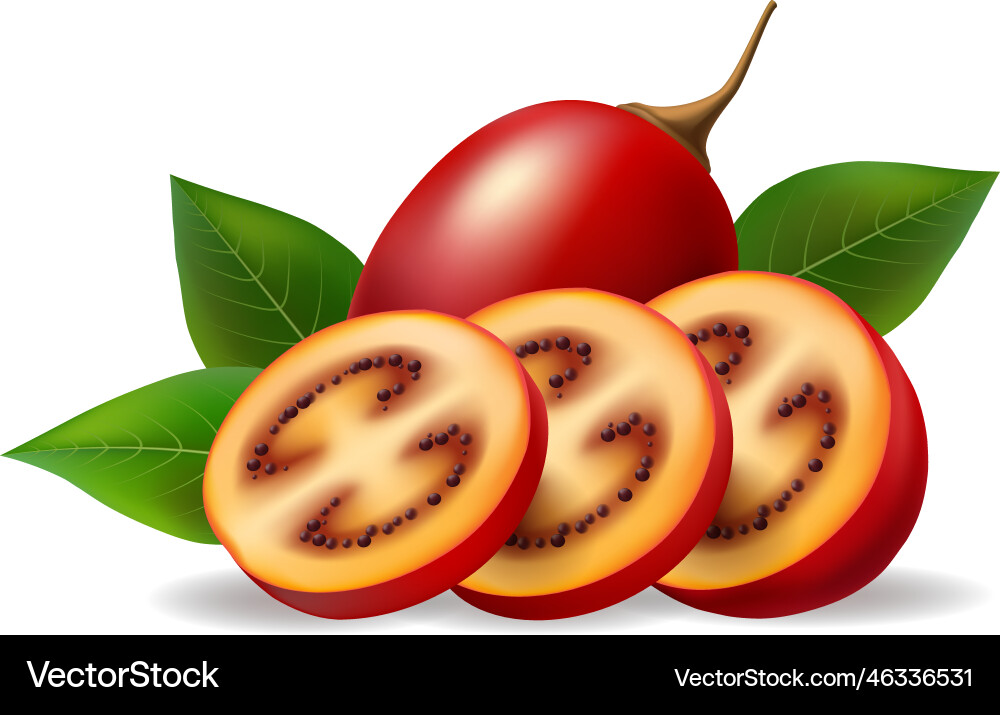 Realistic tamarillo slices Royalty Free Vector Image