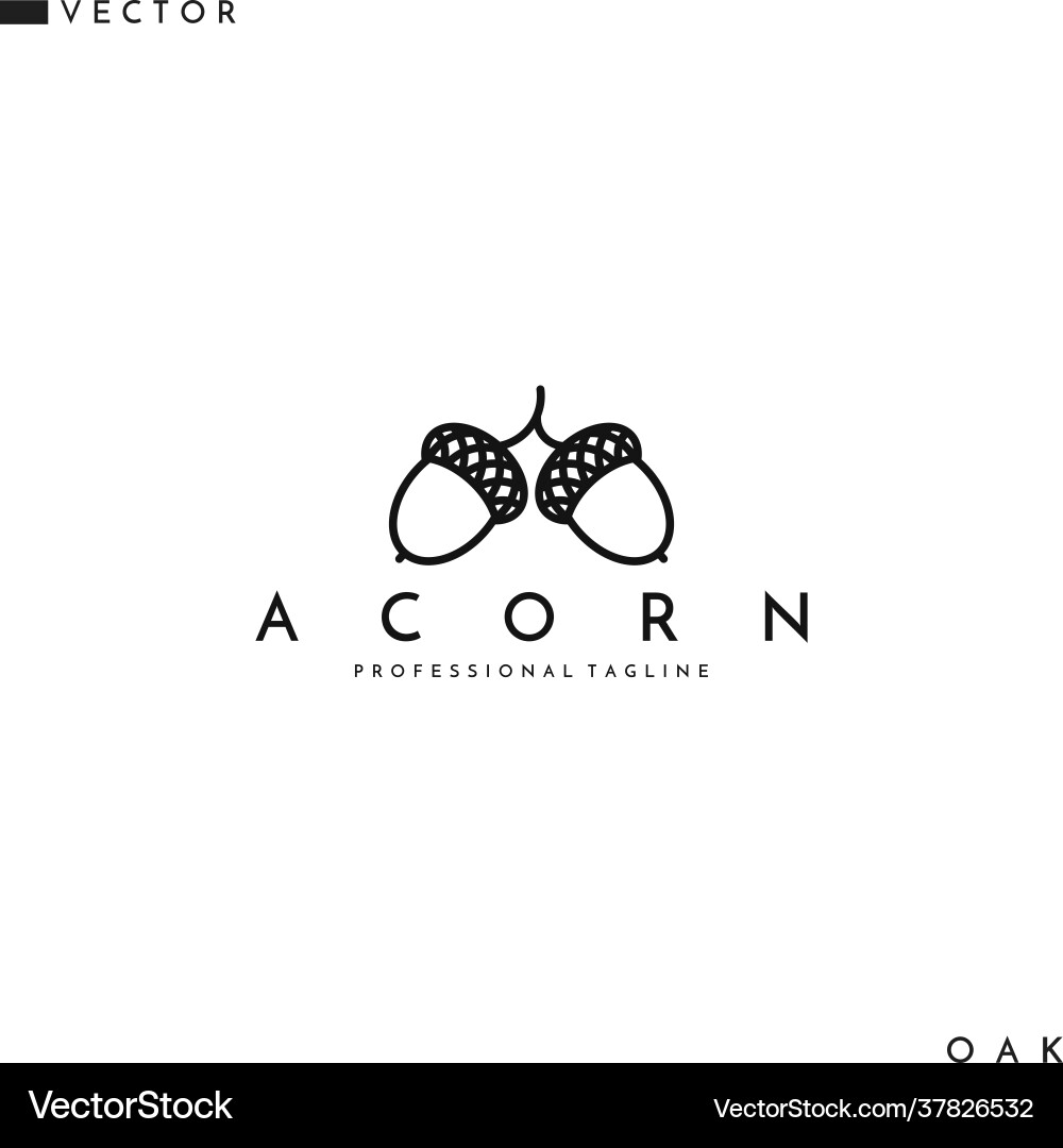Acorn logo line art Royalty Free Vector Image - VectorStock