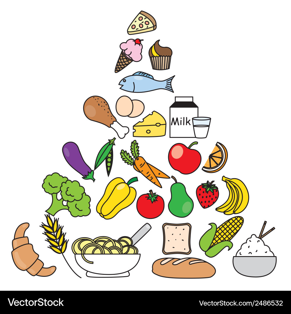 Food pyramid Royalty Free Vector Image - VectorStock