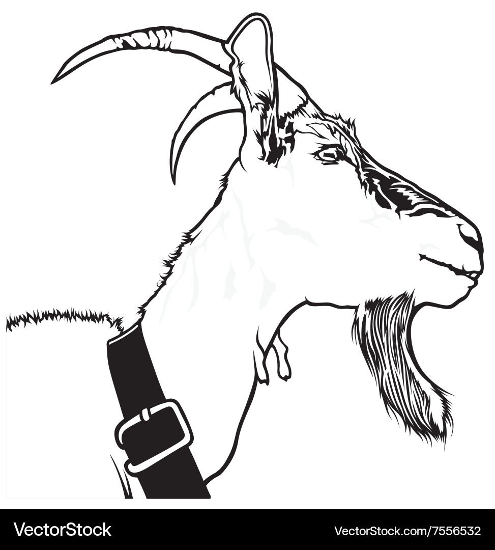 Goat head Royalty Free Vector Image - VectorStock
