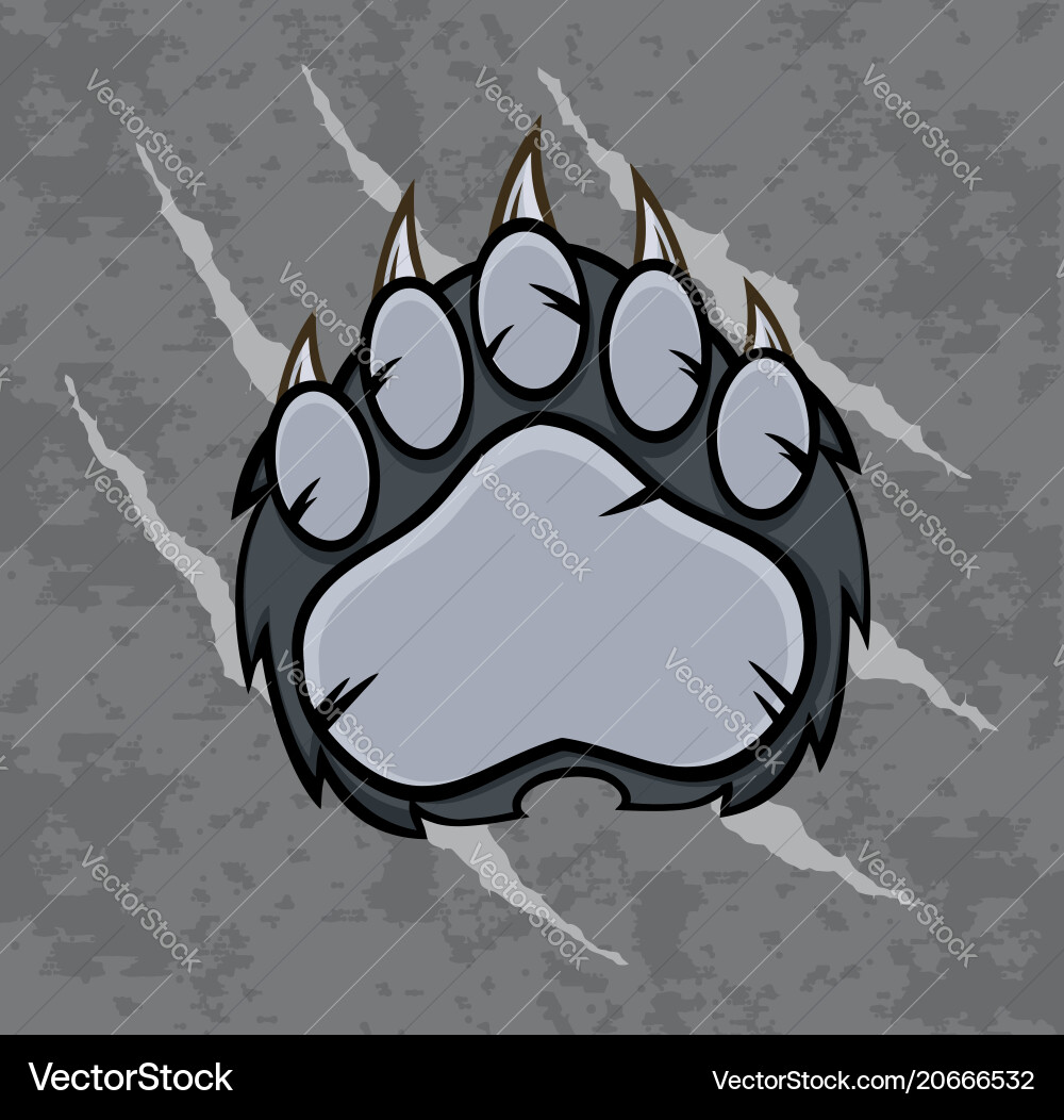 Gray bear paw with claws Royalty Free Vector Image