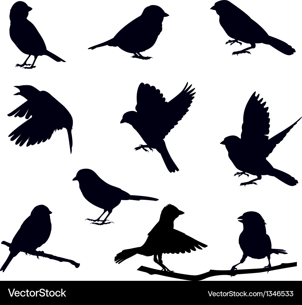 Flying Bird Vector Images (over 160,000)