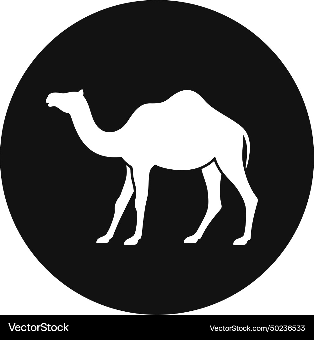 Camel Royalty Free Vector Image - VectorStock