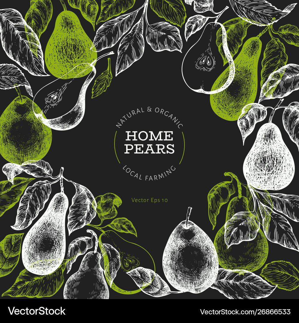 Pear design template hand drawn garden fruit Vector Image