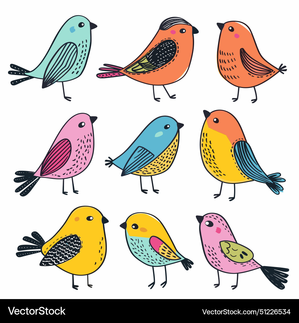 Collection colorful birds standing various poses Vector Image
