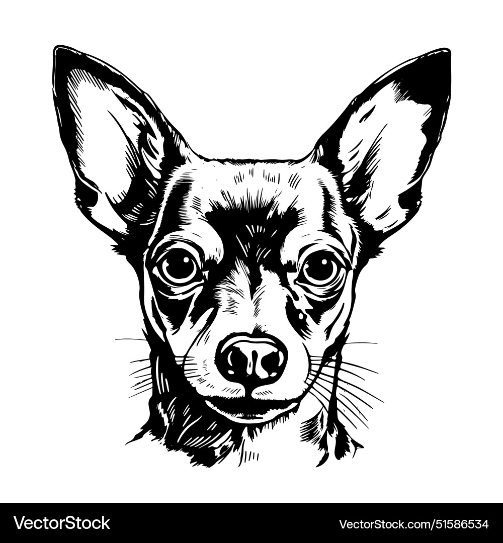 Cute toy terrier dog Royalty Free Vector Image