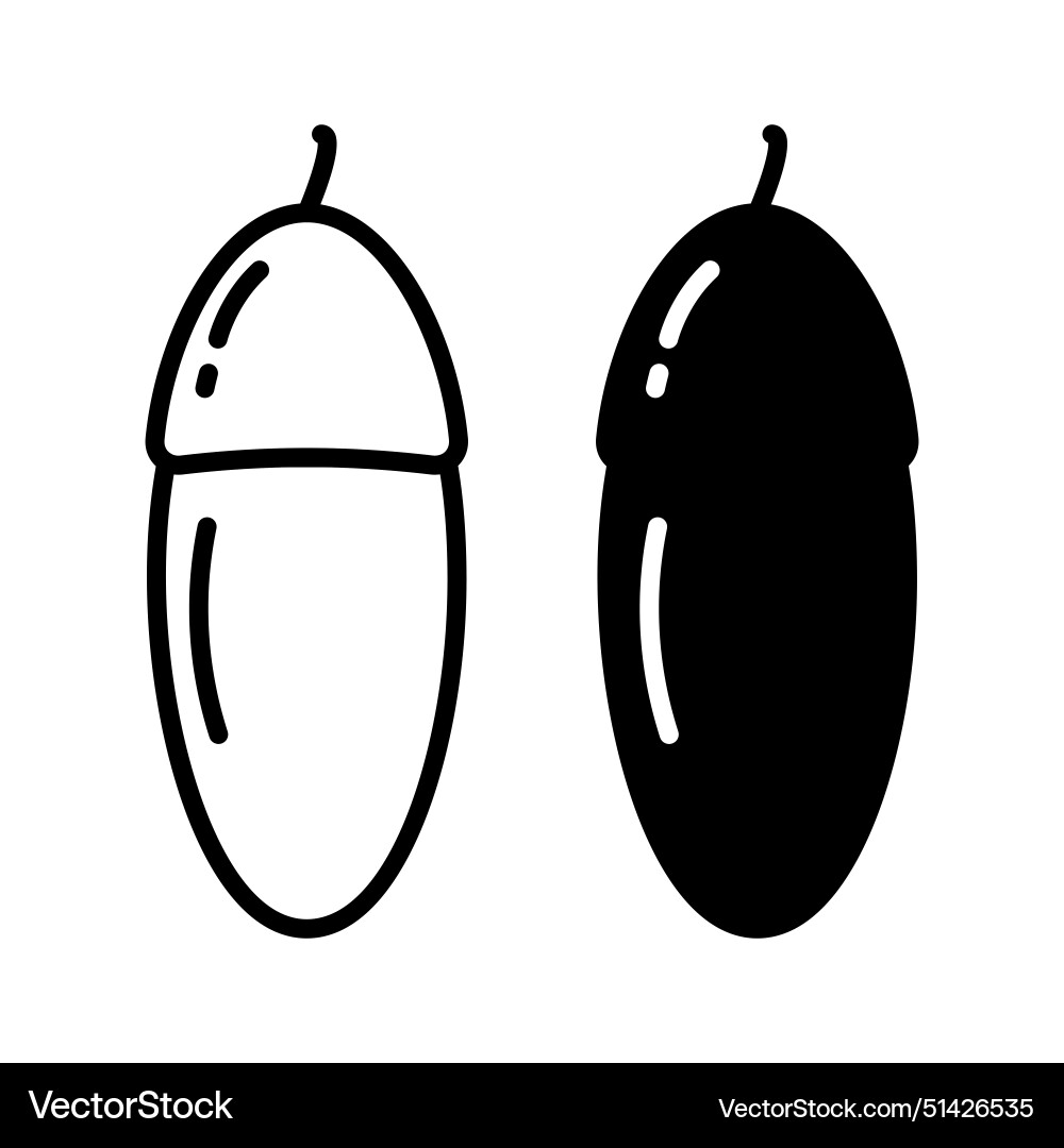 Acorn stylized silhouette and outline autumn seed Vector Image