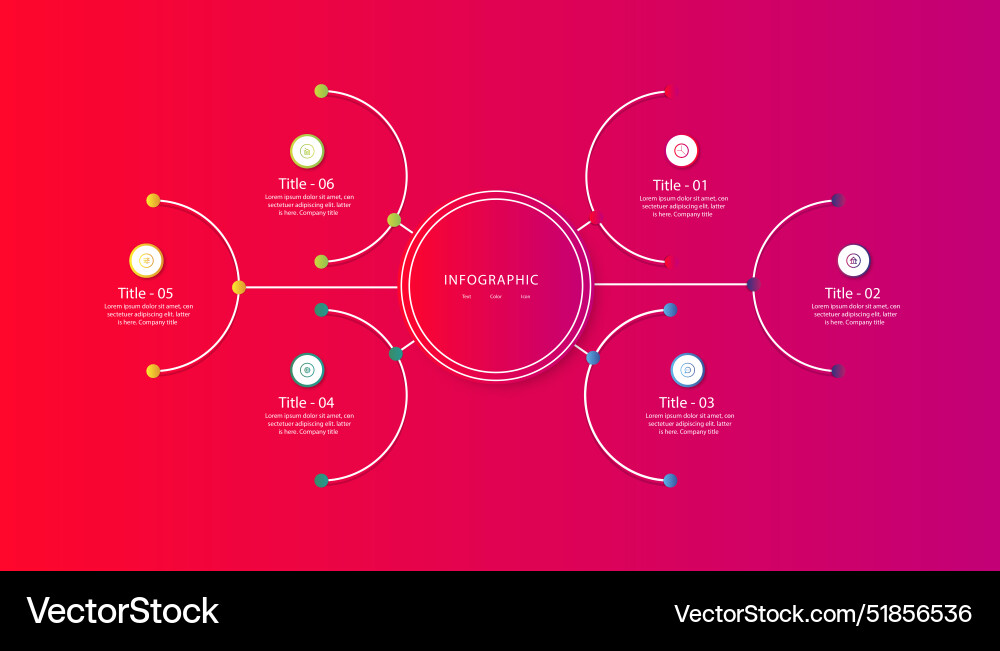 Creative infographic template design brand info Vector Image