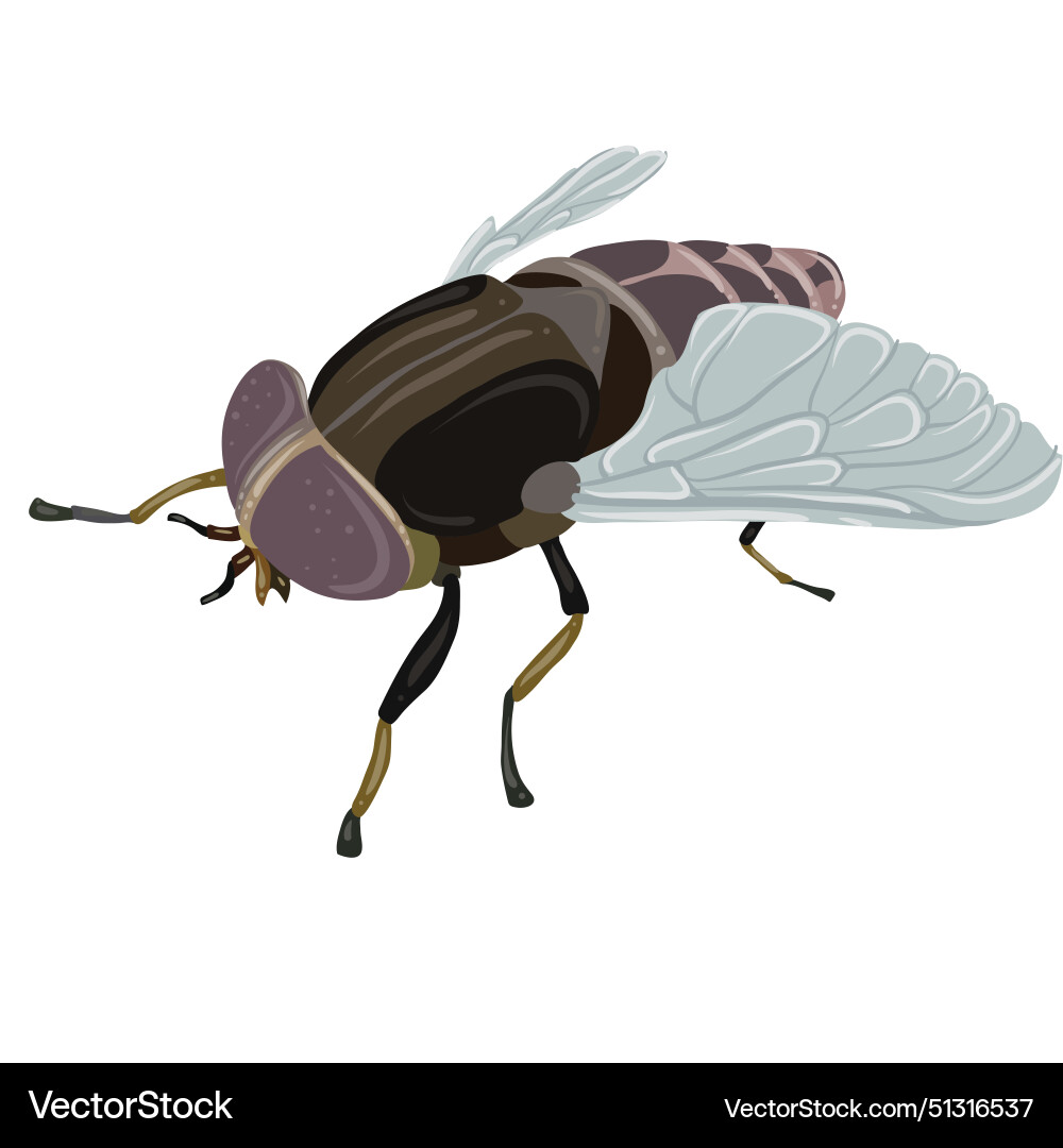 Fly flight into the microscopic world Royalty Free Vector