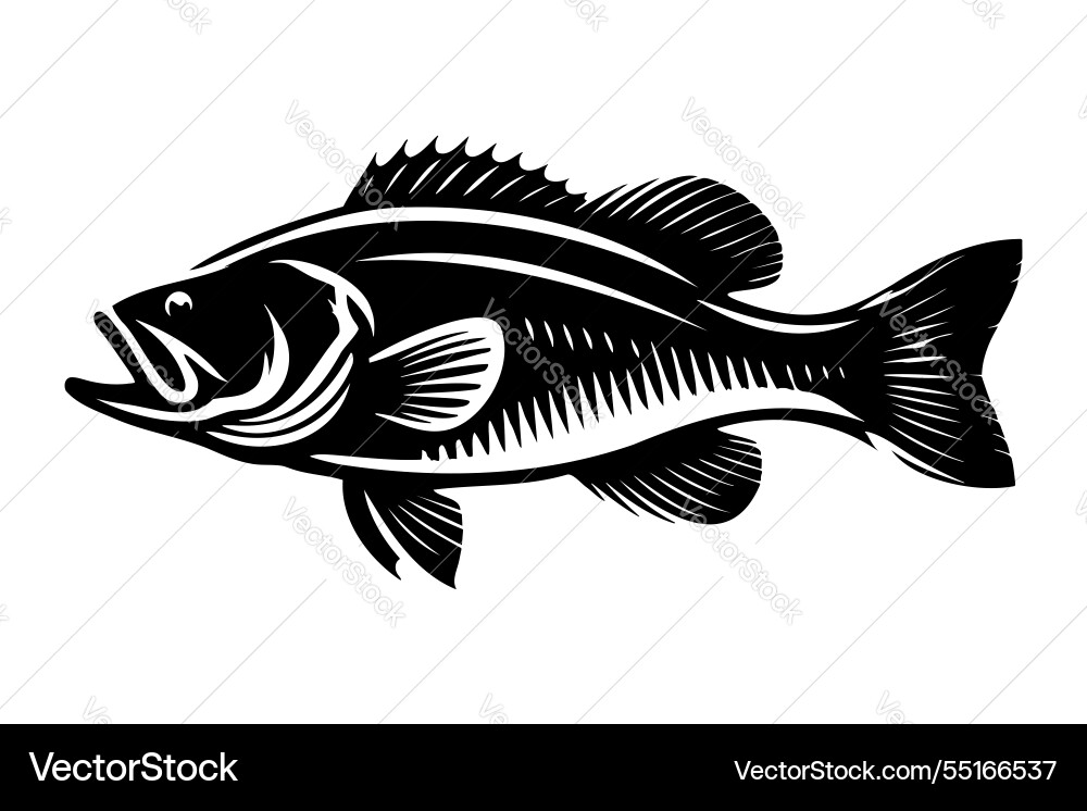 Grouper fish monochrome clip art Royalty Free Vector Image