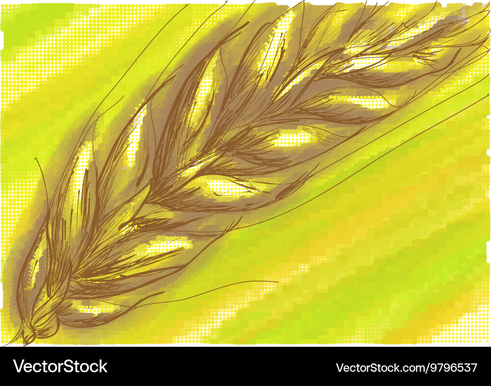 Wheat Royalty Free Vector Image - VectorStock