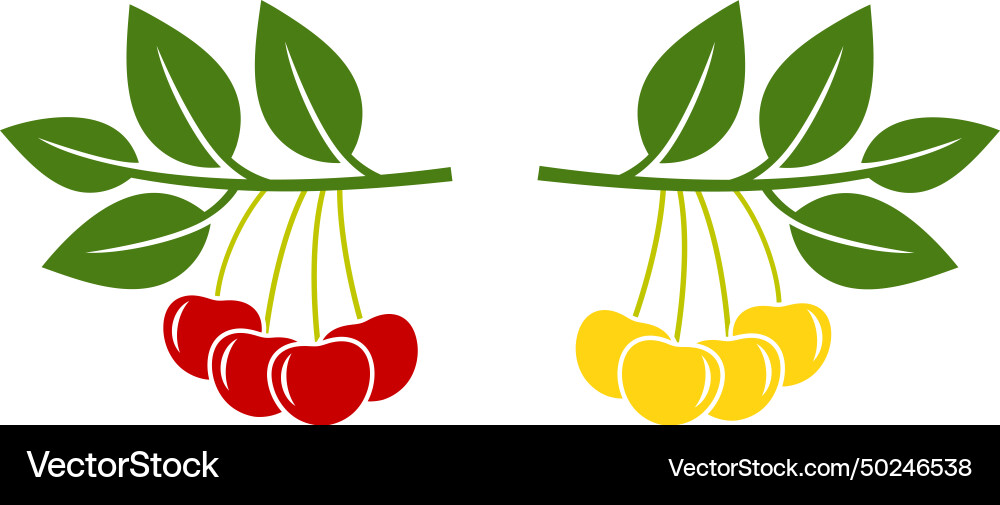 Cherry branch Royalty Free Vector Image - VectorStock