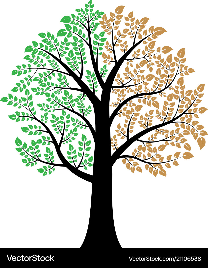Green and brown leaf on tree Royalty Free Vector Image