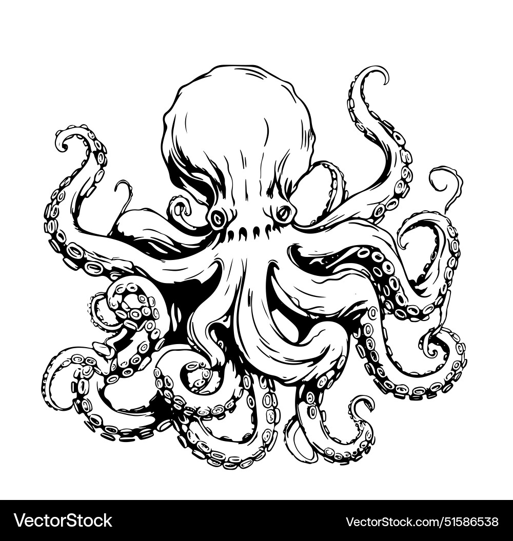 Octopus hand drawing vintage engraving on white Vector Image