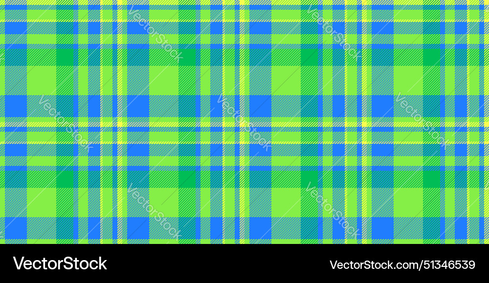 Production plaid fabric texture hippie pattern Vector Image