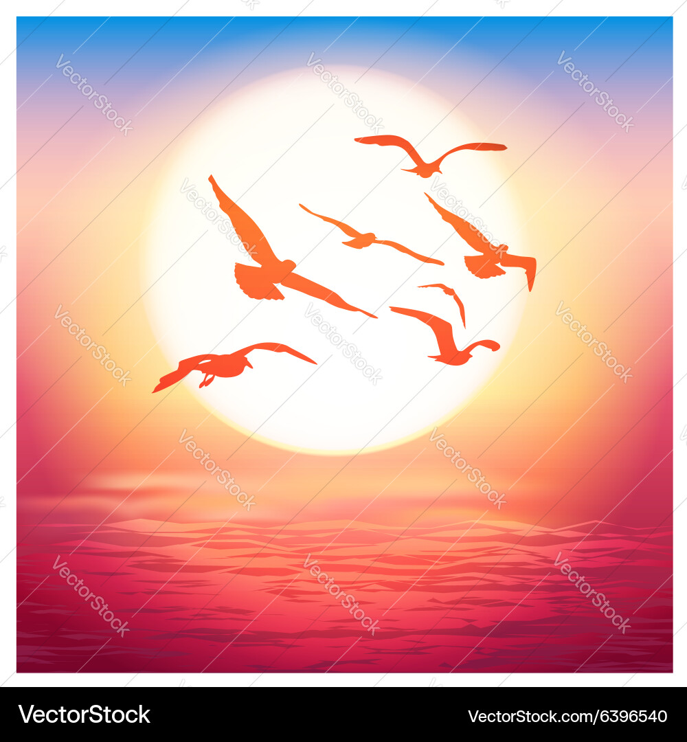 Birds at sunset Royalty Free Vector Image - VectorStock