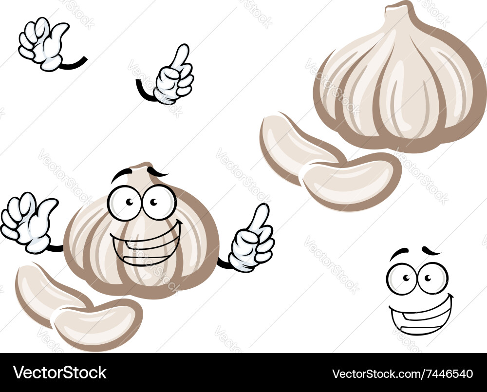 Cartoon fresh garlic bulb vegetable Royalty Free Vector