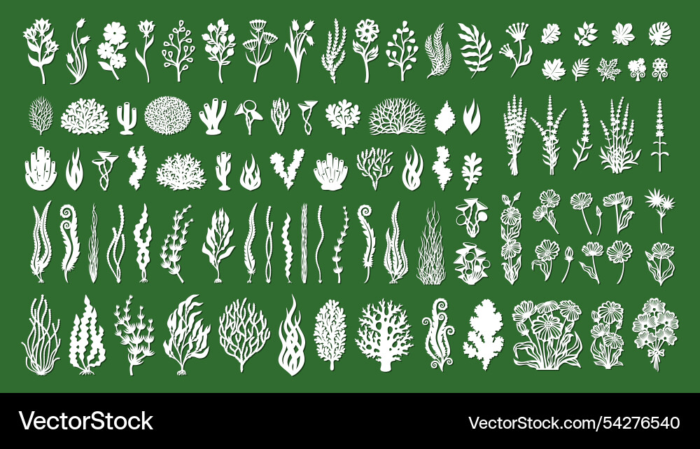 Large set of plants Royalty Free Vector Image - VectorStock