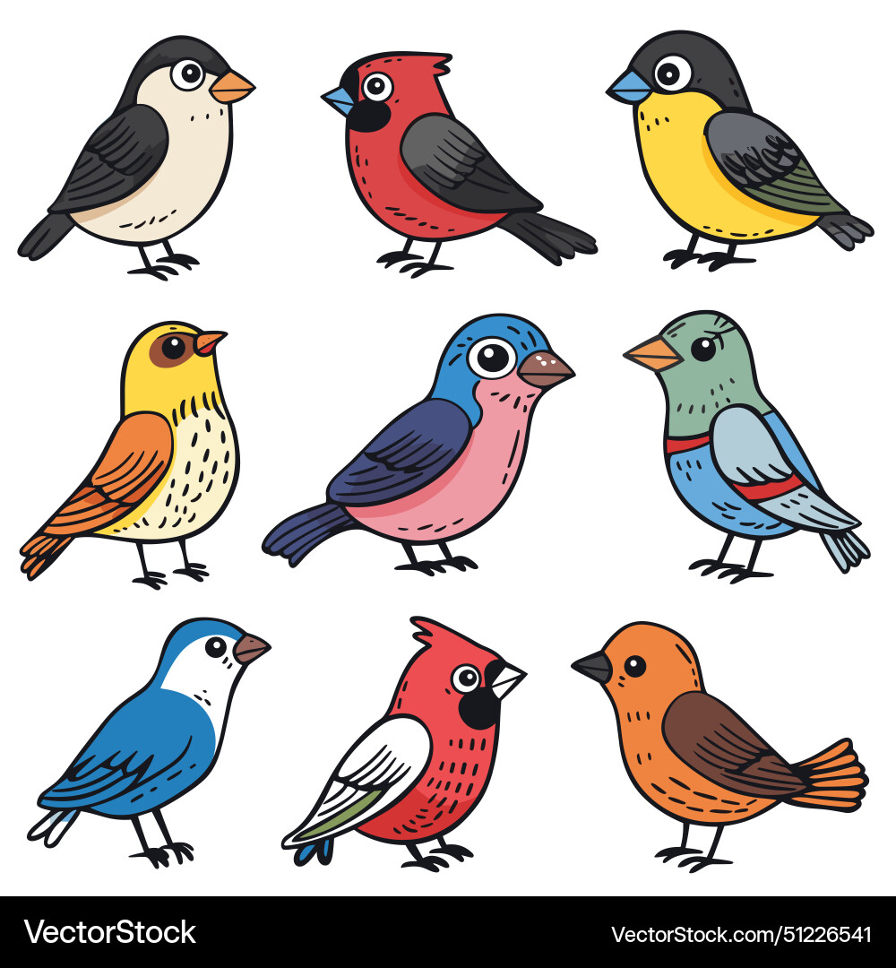 Collection colorful birds cartoon style isolated Vector Image