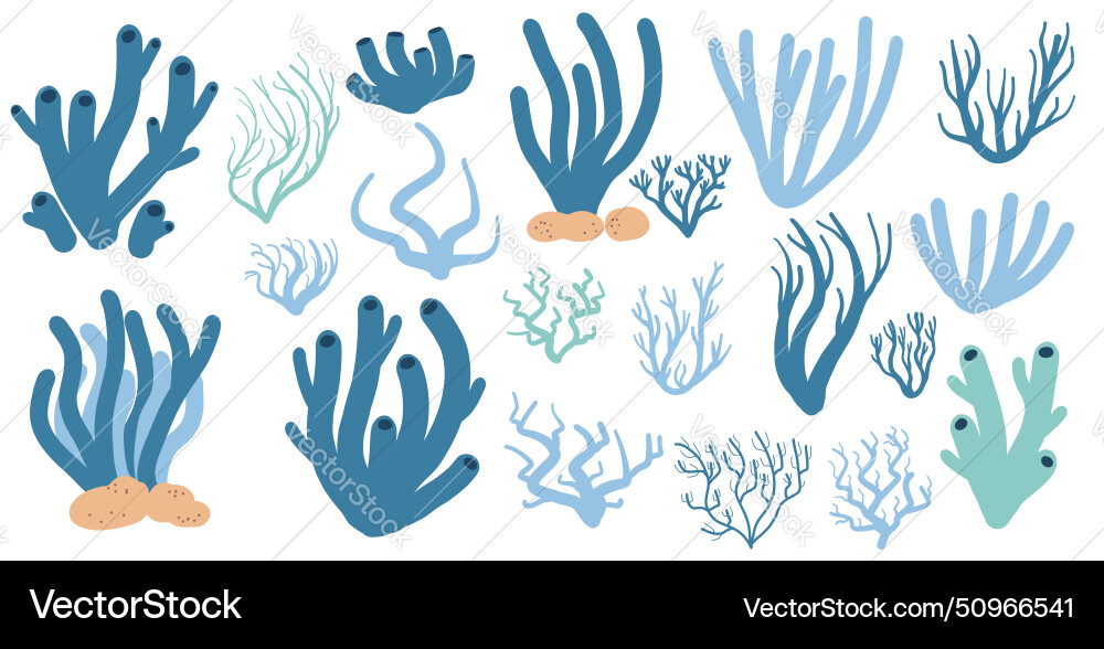 Coral reef set isolated on white background sea Vector Image