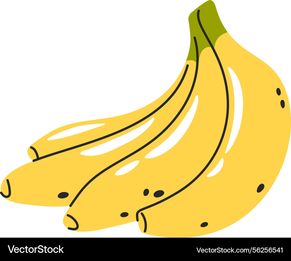 Hand drawn fruit banana bunch Royalty Free Vector Image