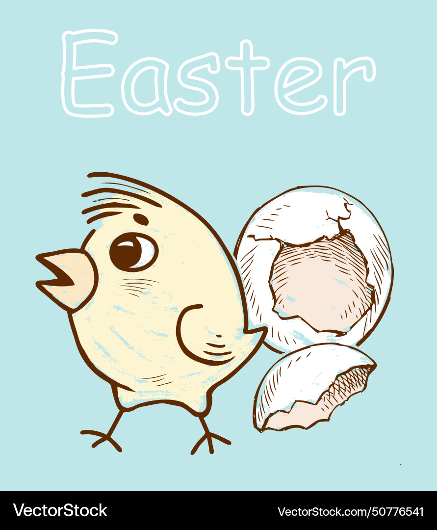 Newborn hatched easter chick egg greeting card Vector Image