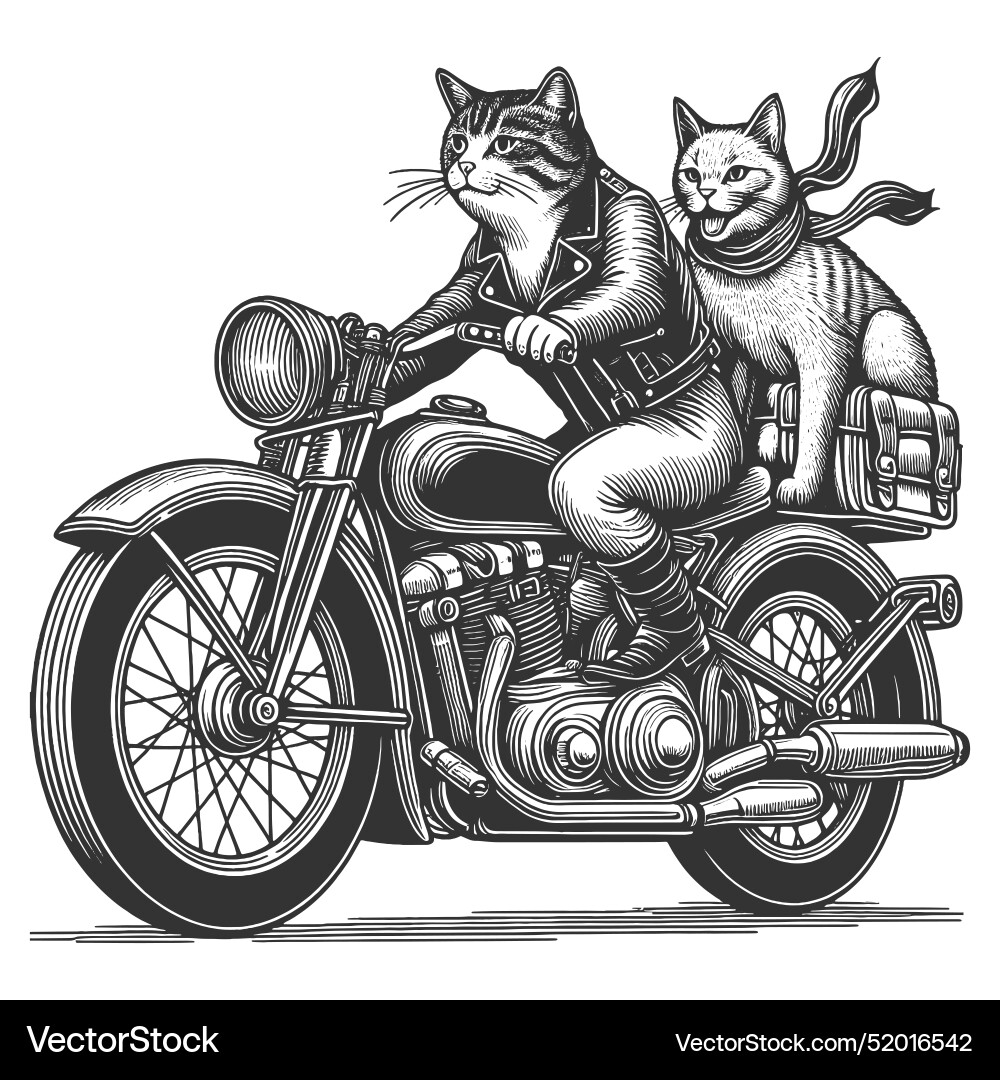Cats riding motorcycle in leather jackets Vector Image