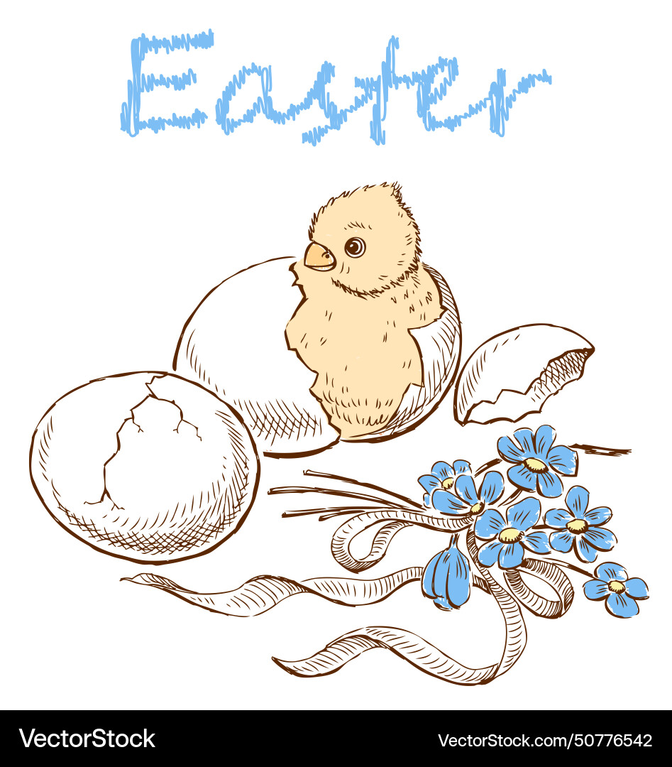 Newborn hatched easter chick eggs delicate Vector Image