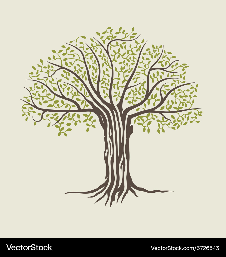 Abstract tree design Royalty Free Vector Image