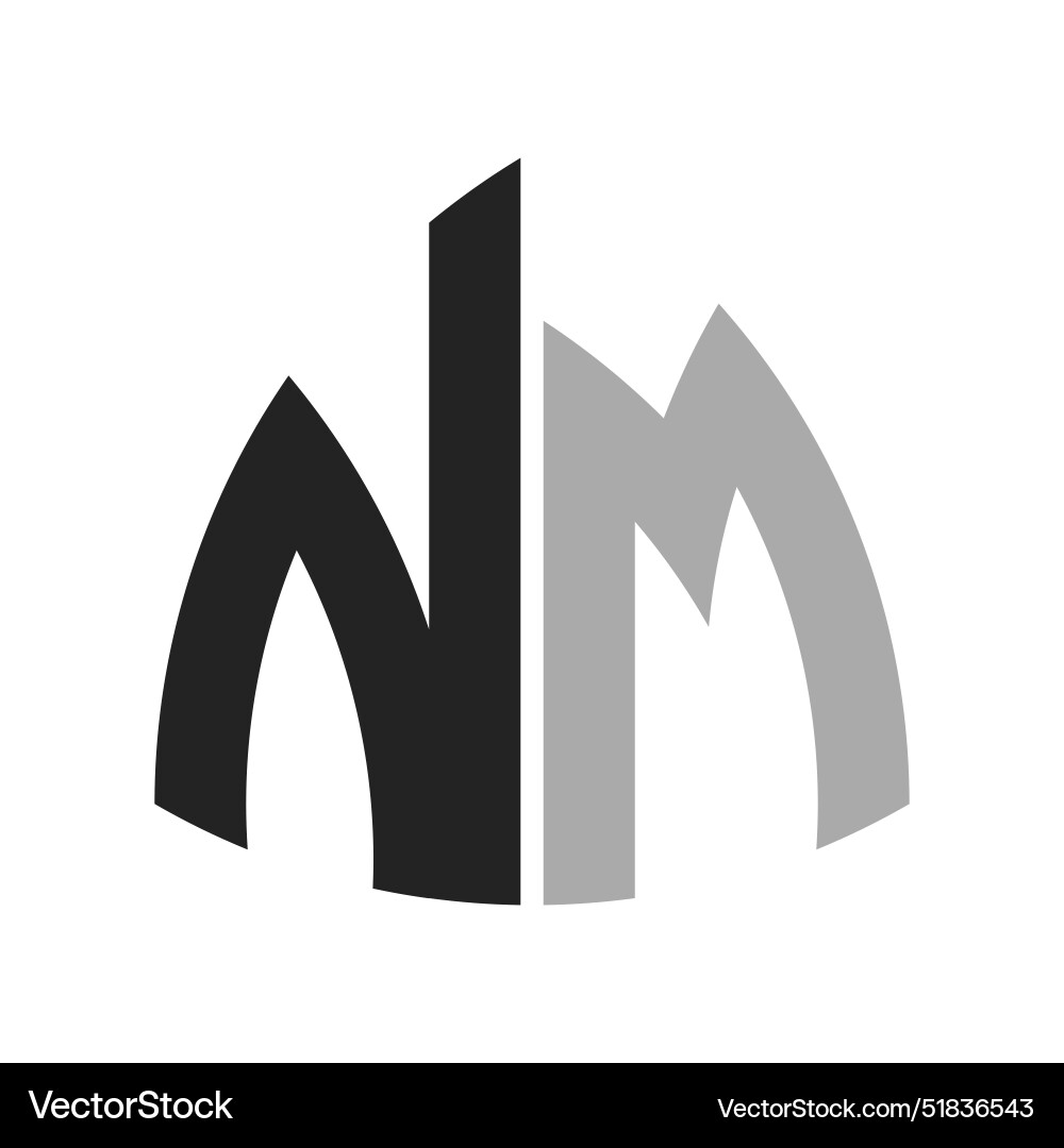 Modern creative nm logo design letter icon Vector Image