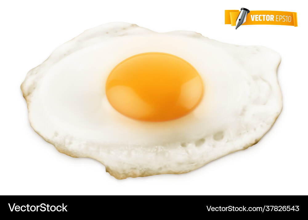 Realistic fried egg Royalty Free Vector Image - VectorStock