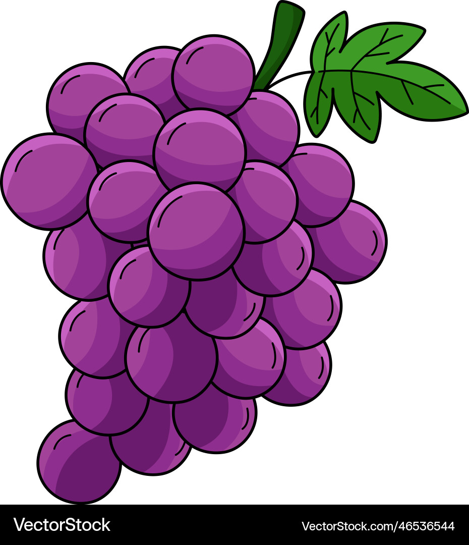 Trauben Obst Cartoon farbigen Clipart Lizenzfreier Vektor
