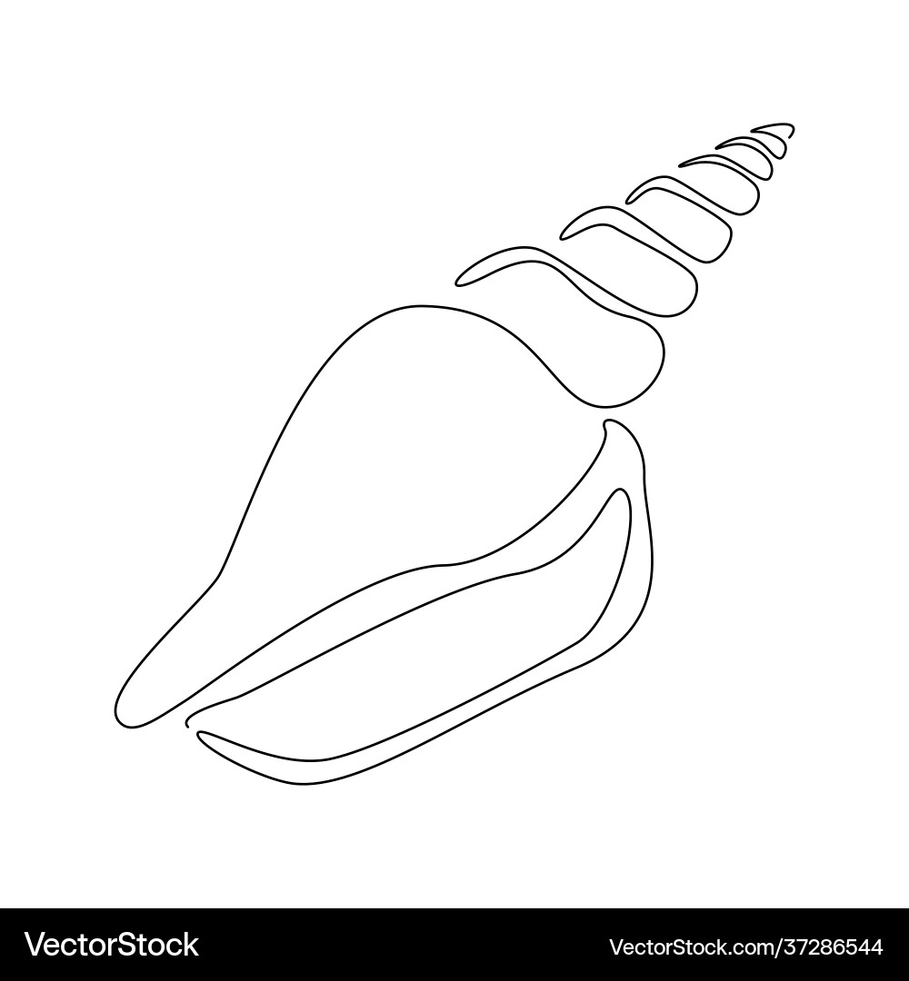 Spiral seashell in one continuous line drawing Vector Image