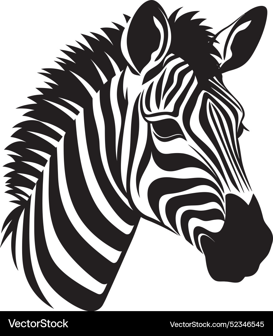 Expressive lines zebra portraitgraphic safari Vector Image