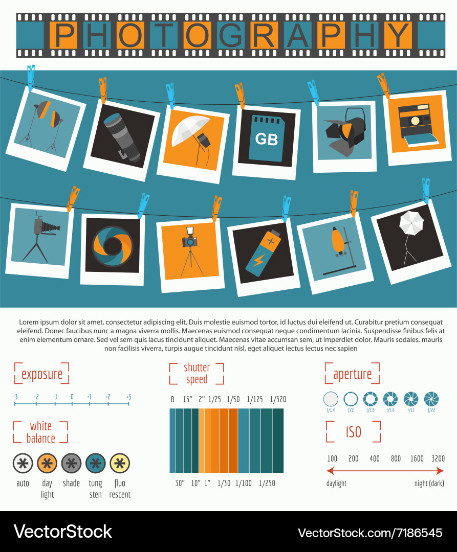 Photography infographics set with photo camera Vector Image