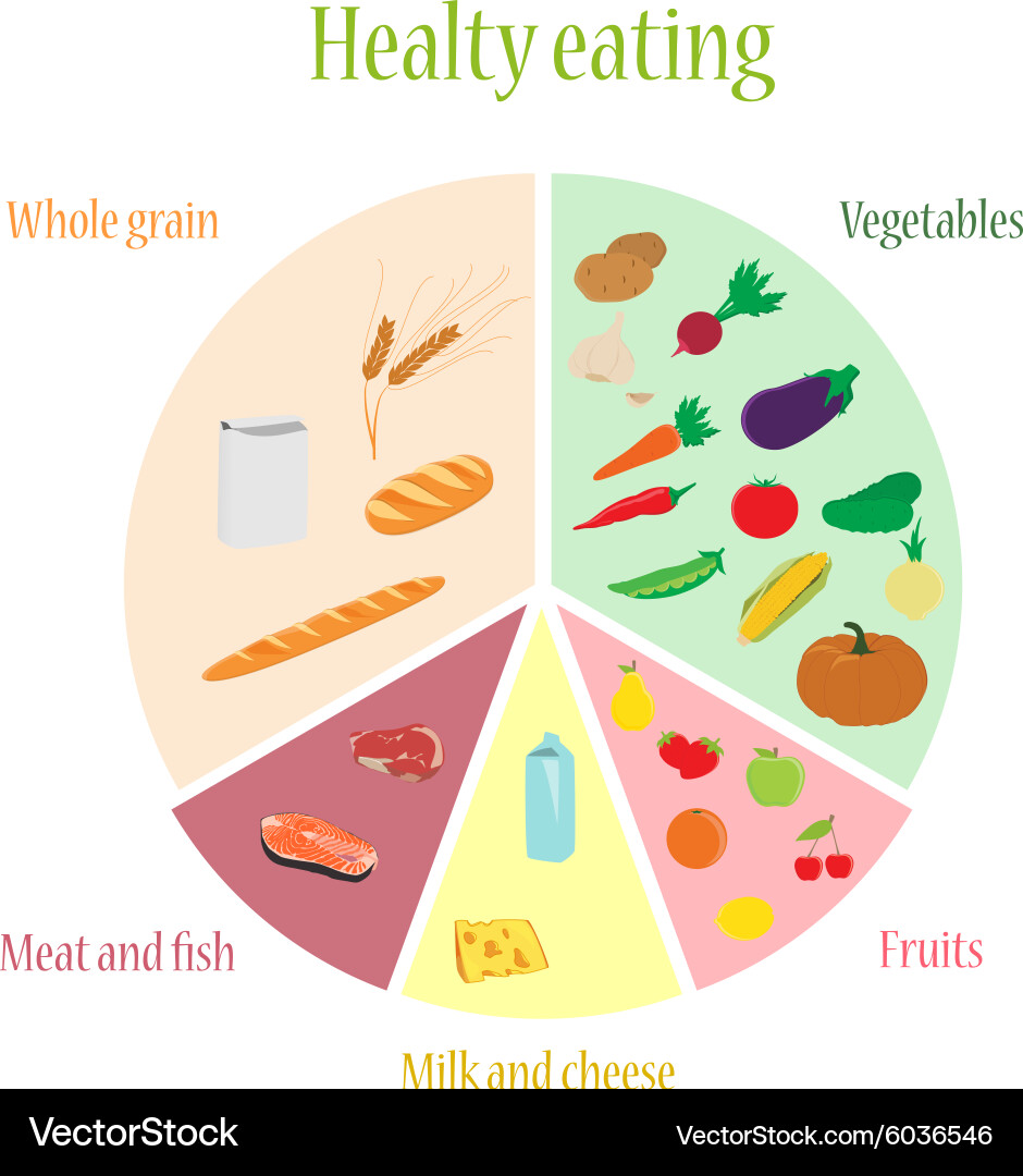 Healthy eating chart Royalty Free Vector Image