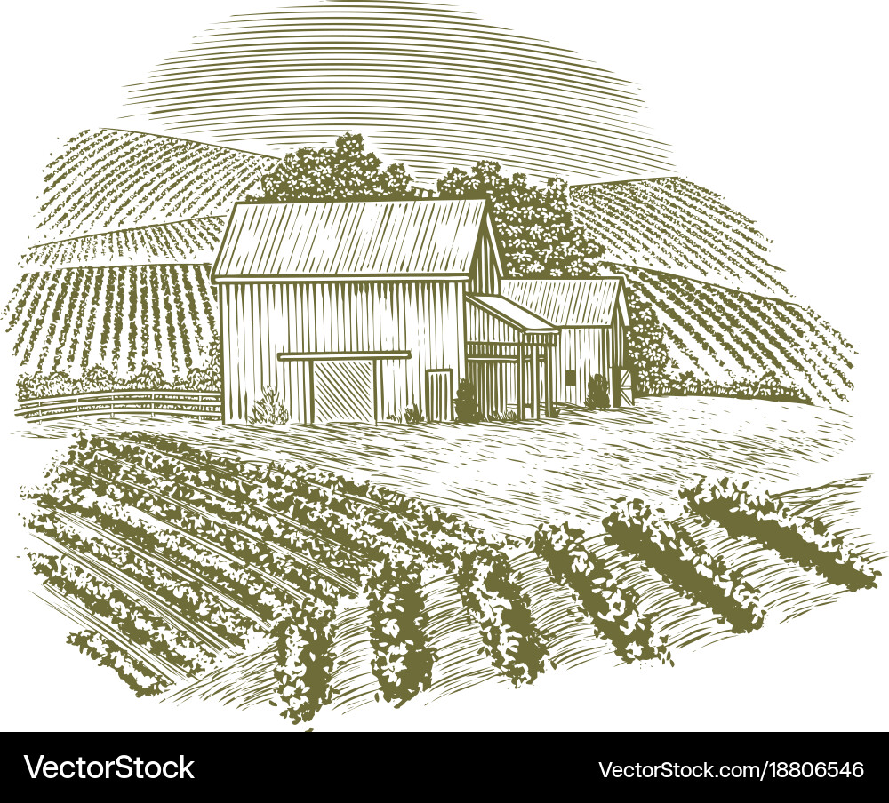 Rustic Barn Scene Royalty Free Vector Image - VectorStock
