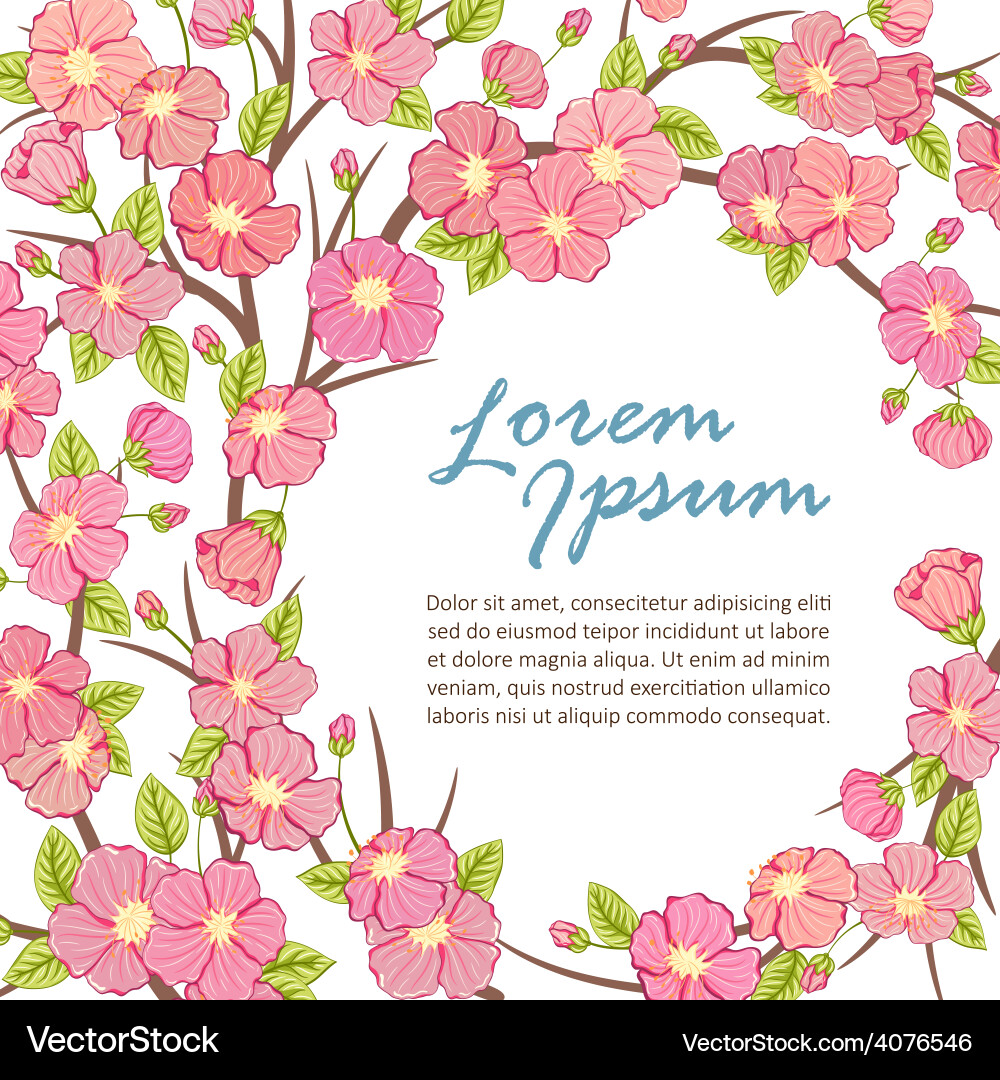 Sakura Blossom Frame Royalty Free Vector Image