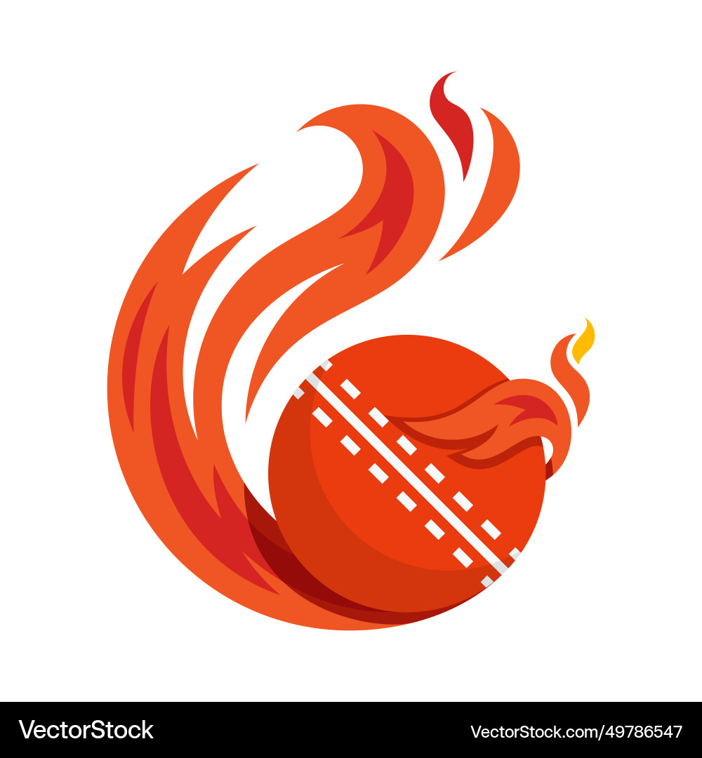 Cricket ball flying fire icon design Royalty Free Vector