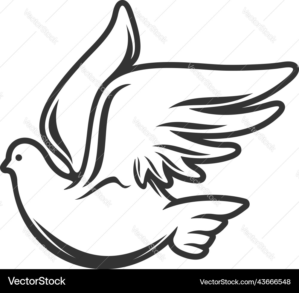 Heilige Taube Symbol des Friedens Lizenzfreies Vektorbild