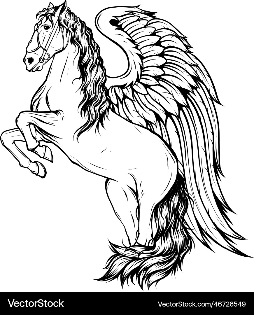 Monochrome pegasus - winged Royalty Free Vector Image
