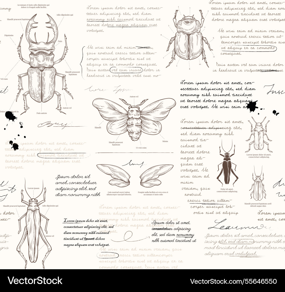 Insects retro pattern repeating design element Vector Image