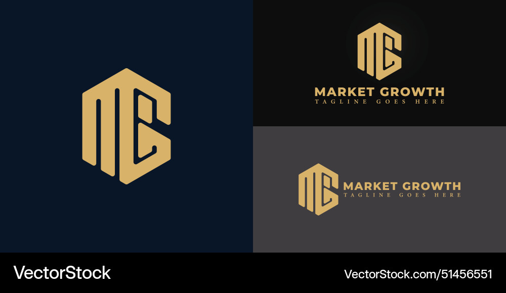 Abstract initial hexagon letter mg or gm logo Vector Image