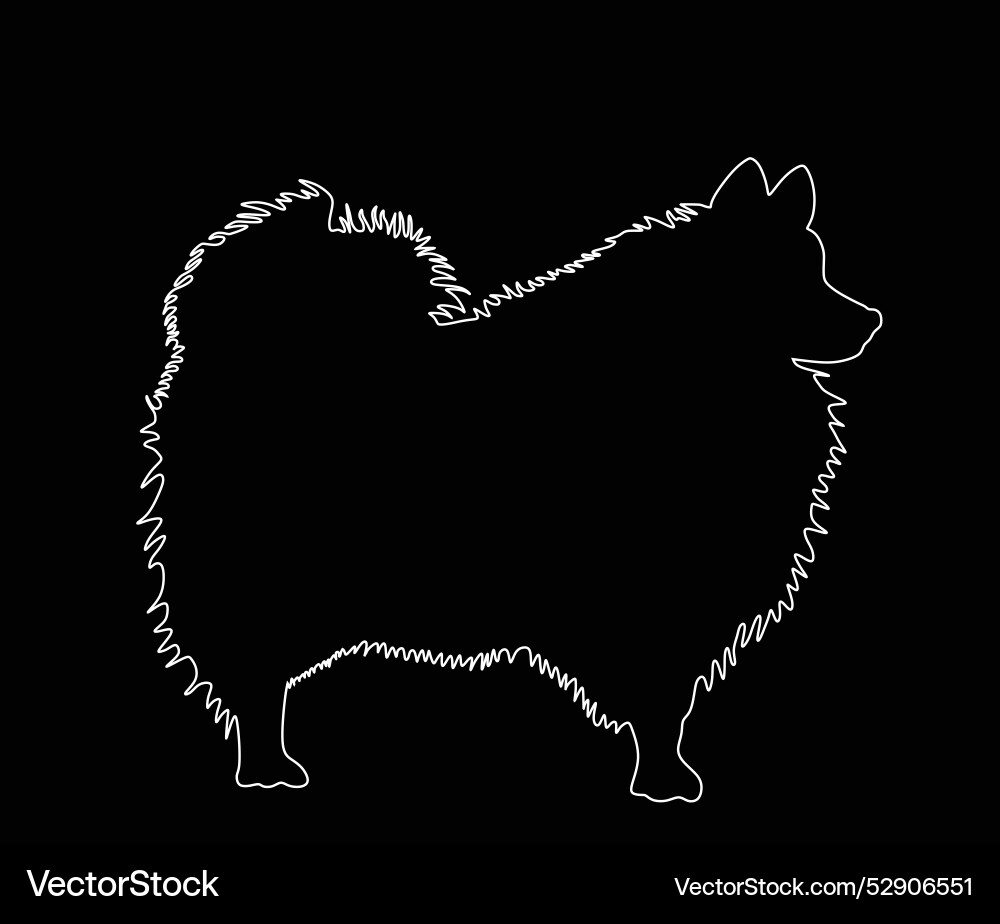 Line contour spitz dog silhouette Royalty Free Vector Image