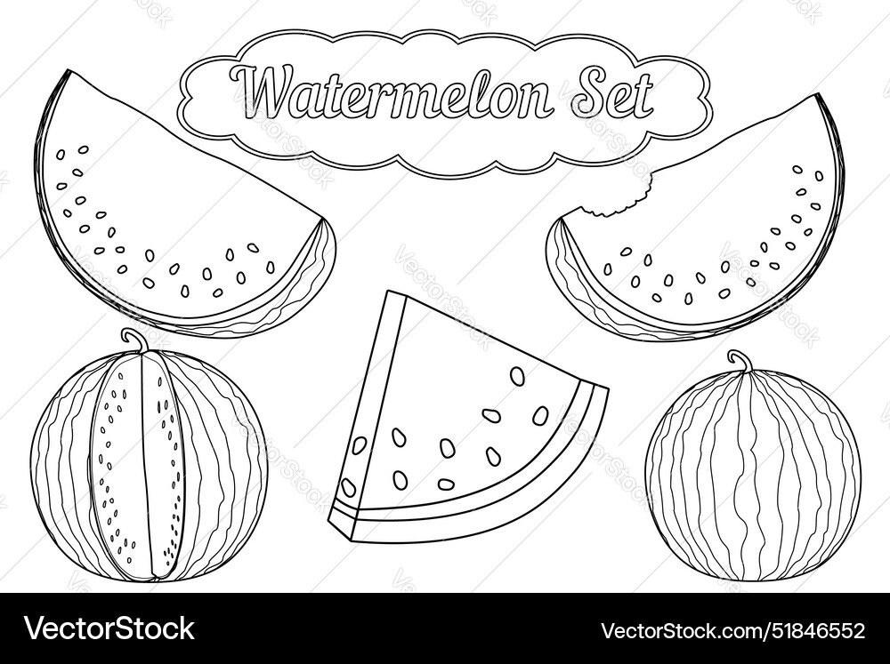Watermelon coloring page set Royalty Free Vector Image