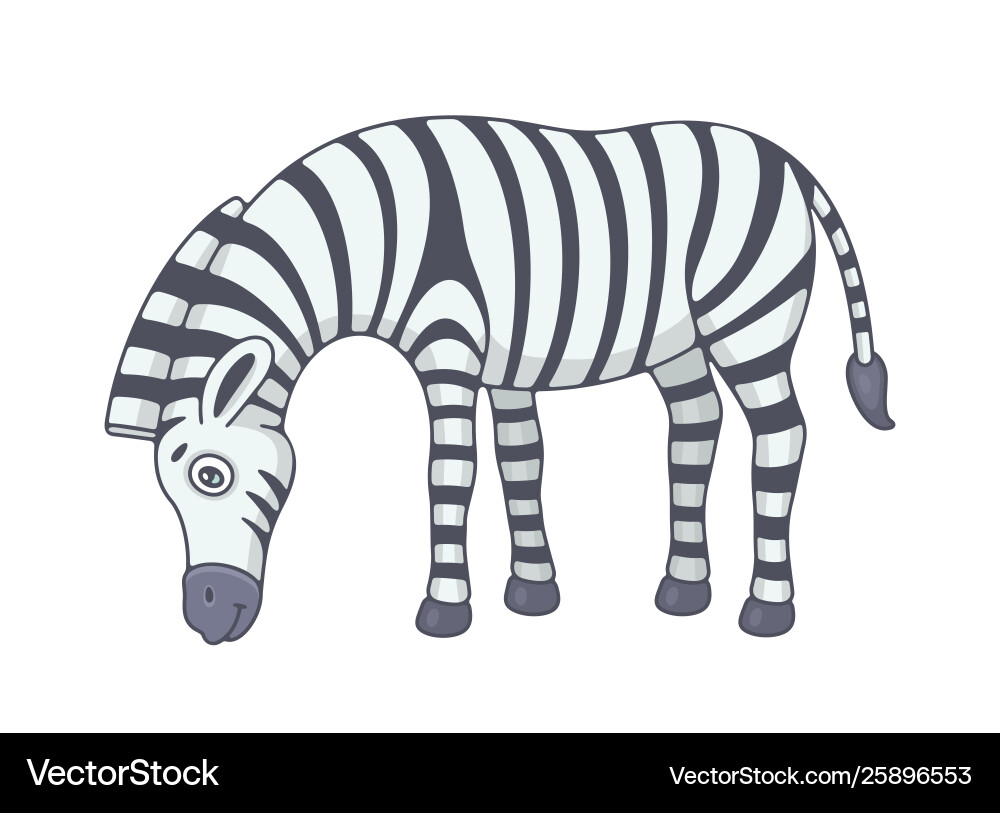 Zebra Royalty Free Vector Image - VectorStock