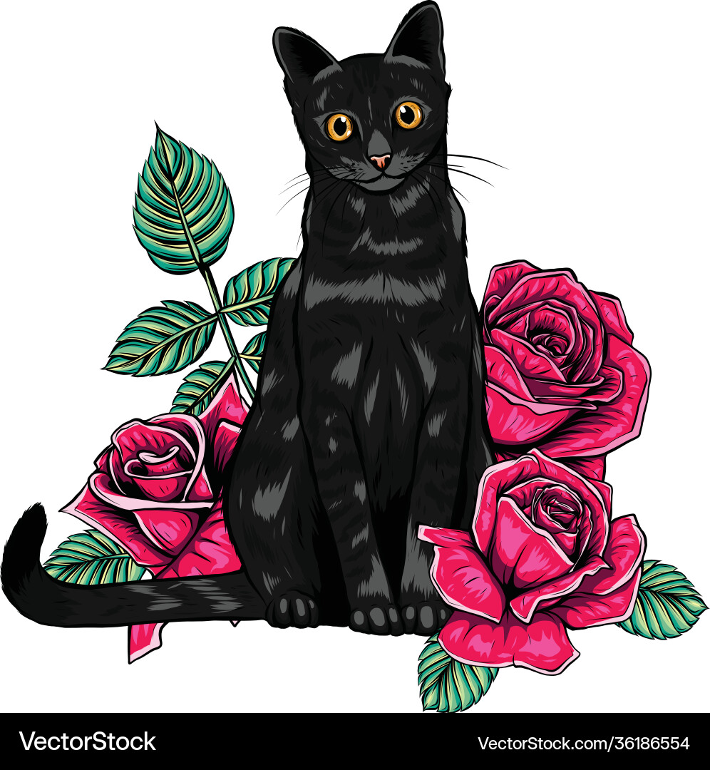Cartoon fluffy cat with roses siamese Royalty Free Vector