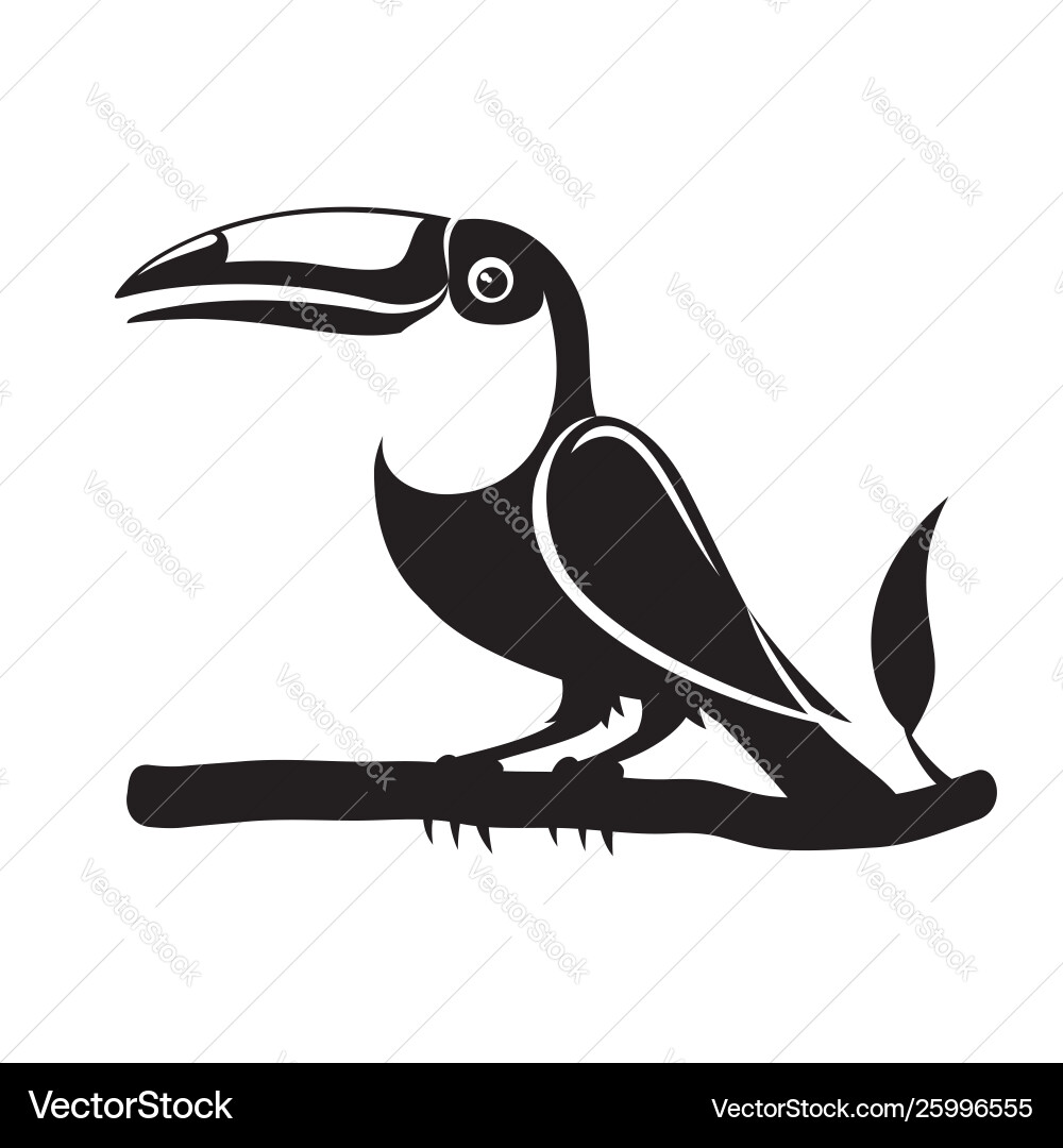 Black toucan bird sign Royalty Free Vector Image