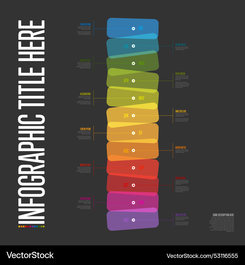 Full year vertical dark rainbow color time line Vector Image