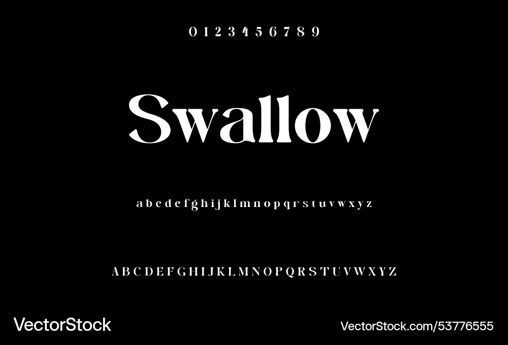 Modern serif alphabet design with uppercase Vector Image